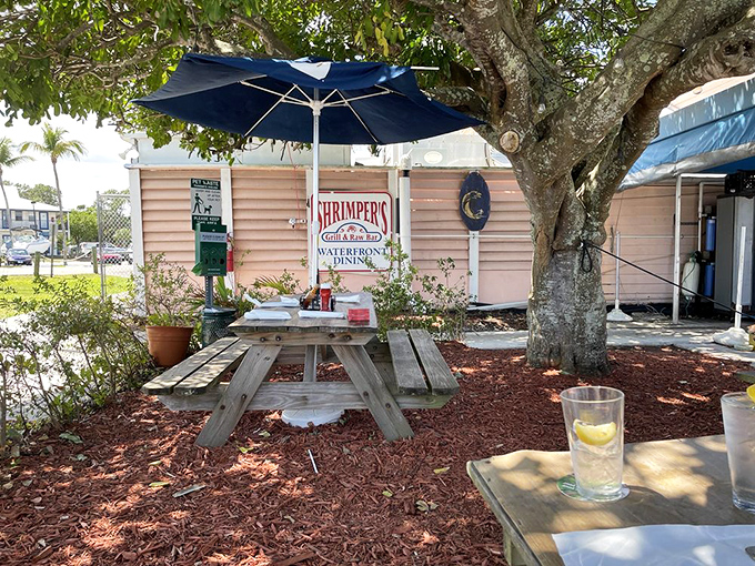 Your four-legged copilot gets a front-row seat to watch you devour fish and chips &ndash; judge-free zone.