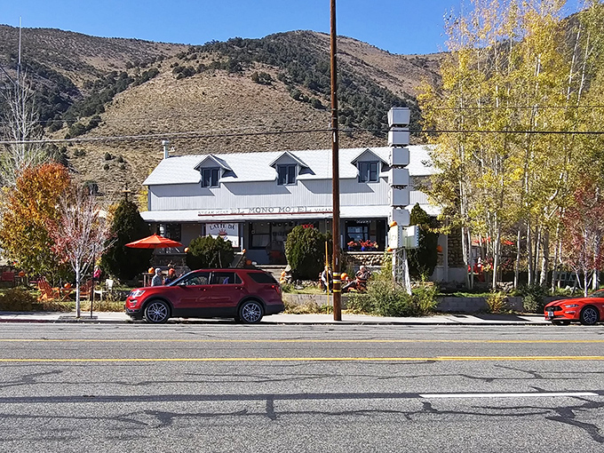 El Mono Motel pairs mountain rustic with coffee culture, creating the perfect basecamp for Eastern Sierra exploration.