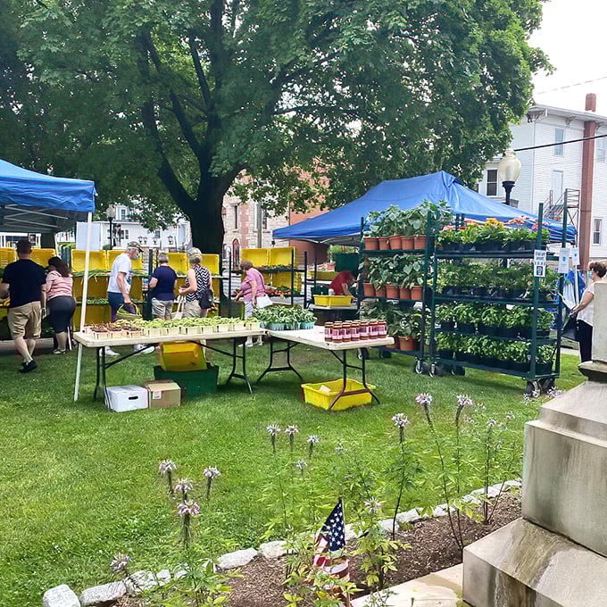 The Farmers Market offers nature's bounty and neighborly chatter&mdash;retirement's perfect Saturday morning doesn't need to break the bank.