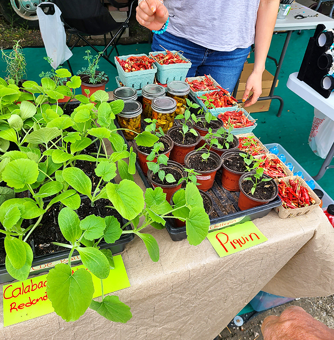 From garden to table in mere footsteps&mdash;seedlings, chiles, and homegrown possibilities await the ambitious home cook.