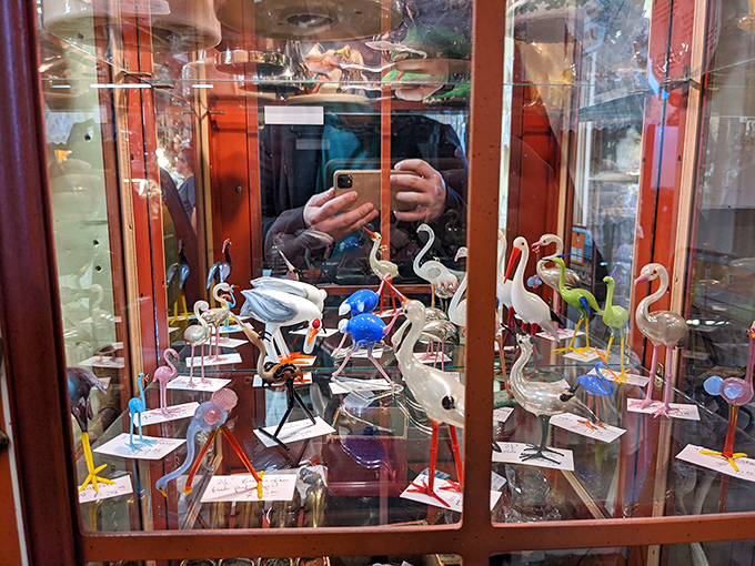 A flock of glass flamingos stands eternally poised in their display case habitat. Pink birds that never need feeding&mdash;just occasional dusting.