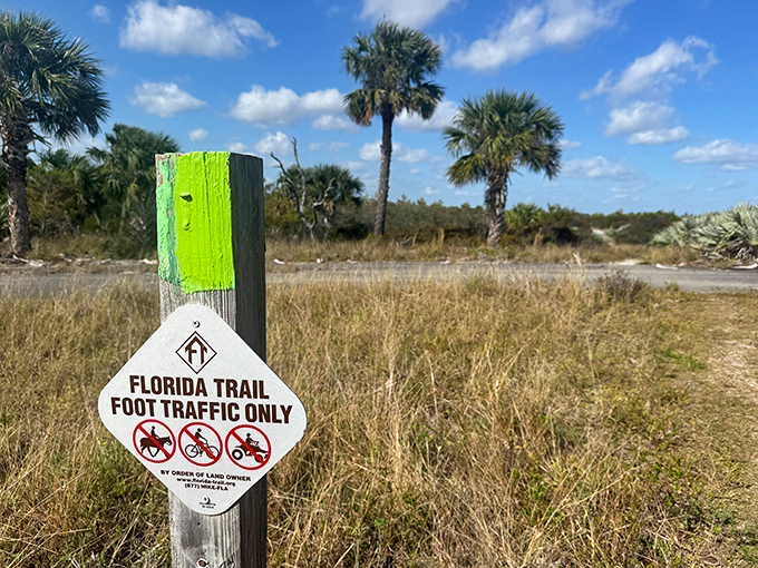 The Florida Trail marker stands as a humble invitation to one of America's great long-distance hikes&mdash;no crowds, no lines, just you and wild Florida.