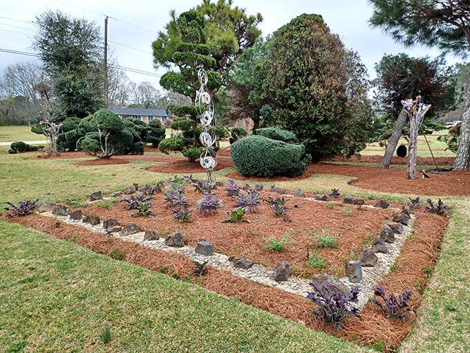 Carefully bordered garden beds showcase Pearl's attention to detail. The mulched areas create a perfect frame for both sculptural plants and decorative elements.