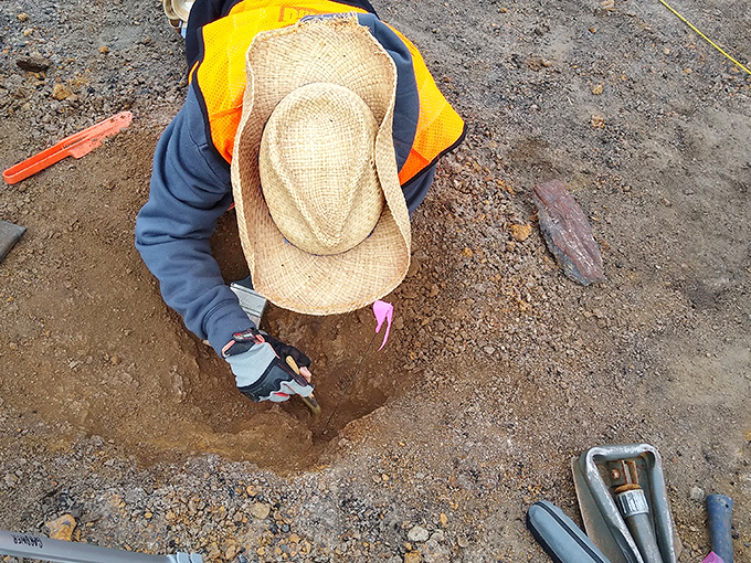 A dedicated fossil hunter carefully examines the soil. Indiana Jones wore a fedora; real paleontologists prefer straw hats and infinite patience.
