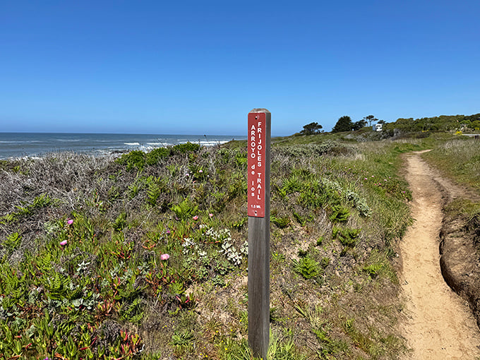 The Frijoles Trail marker stands sentinel between land and sea. Follow this path for a front-row seat to coastal California's greatest hits: wildflowers, ocean views, and endless sky.