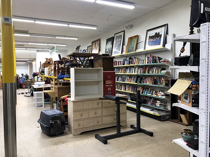 The furniture and book corner&mdash;where your reading nook dreams come true. That pet carrier is just waiting for its next adventure.