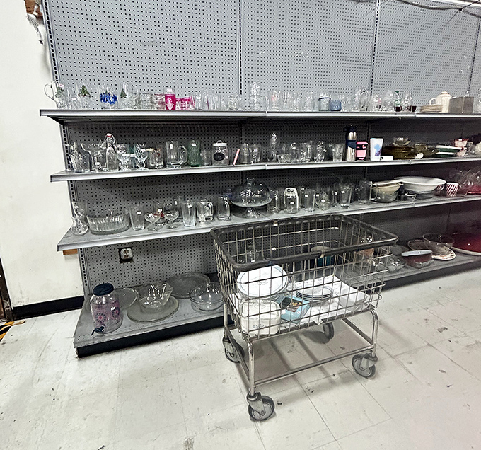 Glassware galore—from everyday tumblers to potential heirlooms, each piece waiting for its second act in a new home's kitchen drama.