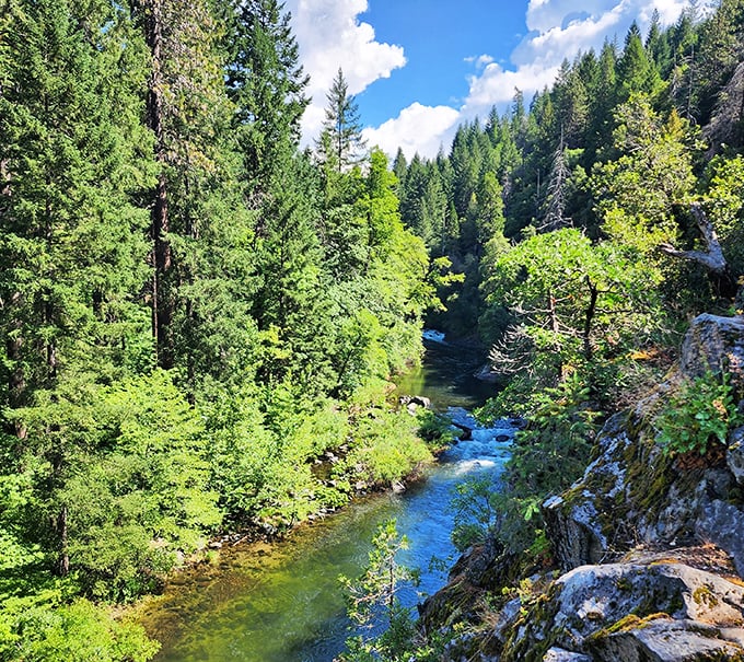 The Sacramento River cuts through the forest like a blue ribbon unwrapping nature's gift &ndash; crystal clear waters that practically beg for afternoon exploration.