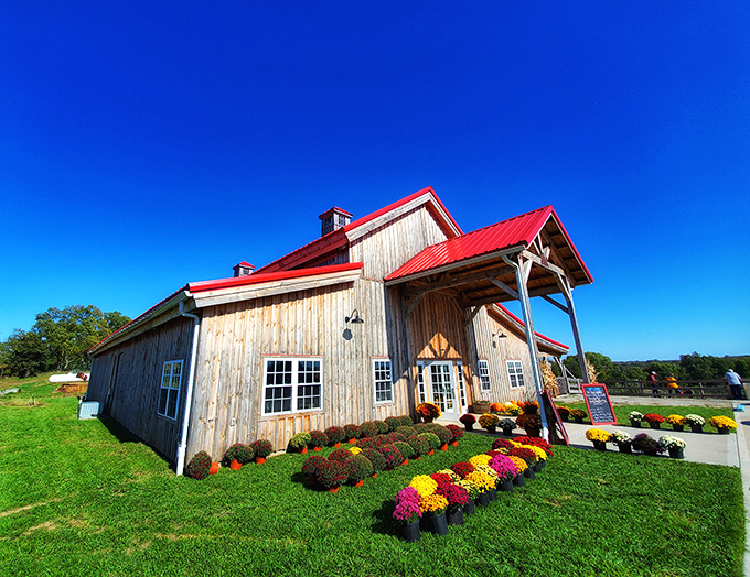 This barn at Historic Weston Orchard & Vineyard isn't just photogenic &ndash; it's the gateway to apple-picking adventures and vineyard discoveries.