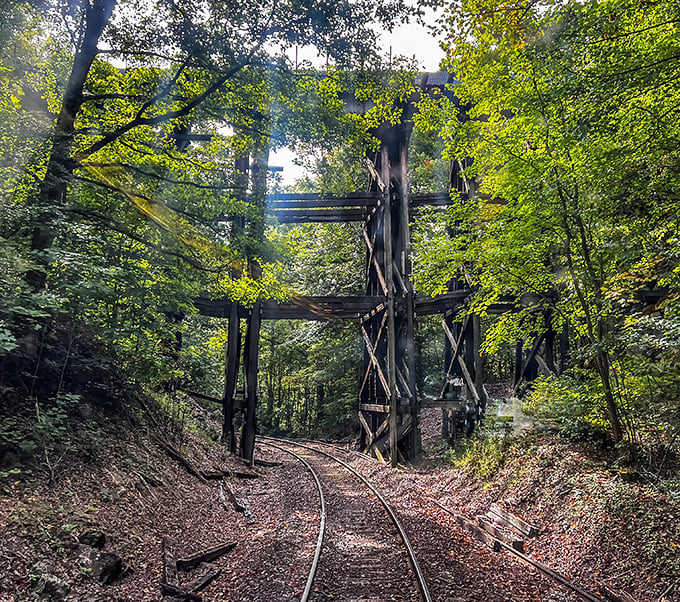 The famous loop reveals itself as tracks cross overhead, an engineering marvel hidden in the forest.