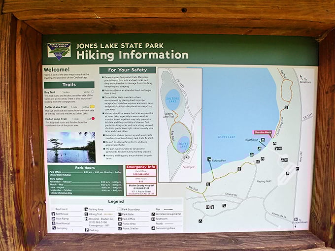 The trail map doesn't show the best feature: the complete absence of crowds. Your chances of having these paths to yourself? Surprisingly excellent. 