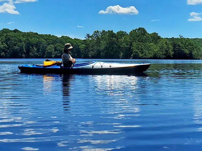 Paddling through glass-smooth water, where the only traffic is the occasional curious turtle.