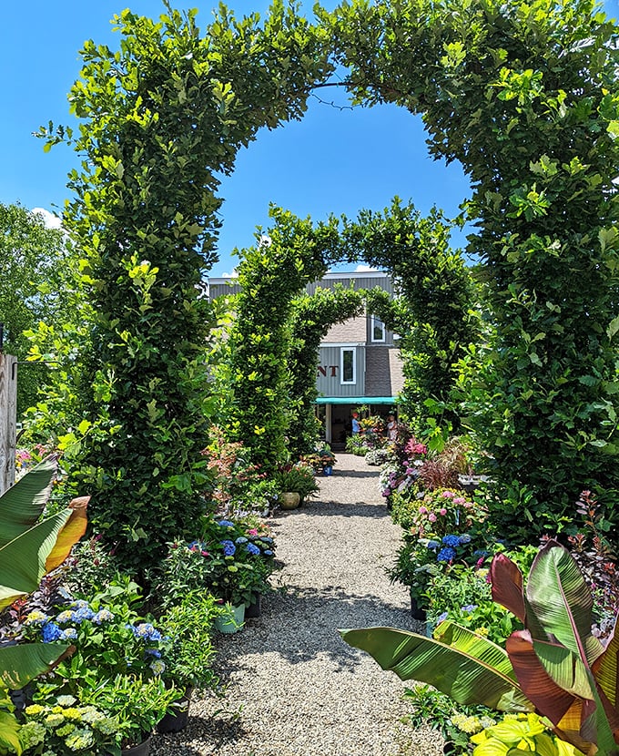 A garden archway that doesn't just invite you in&mdash;it practically insists you slow down, breathe deeply, and reconsider your rushed city existence.