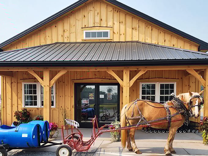 This picturesque farm scene with horse and carriage offers a glimpse of Pennsylvania's agricultural heritage&mdash;a refreshing reminder that not all horsepower comes with fuel injection.
