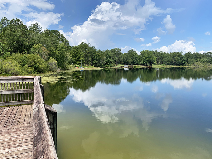 Lake Stanley Park's wooden dock invites contemplation as clouds play mirror games with the water – nature's own meditation app without the subscription fee.
