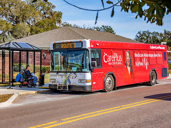 Even public transportation gets a splash of Florida color &ndash; this isn't your average commuter experience, it's transit with tropical flair.