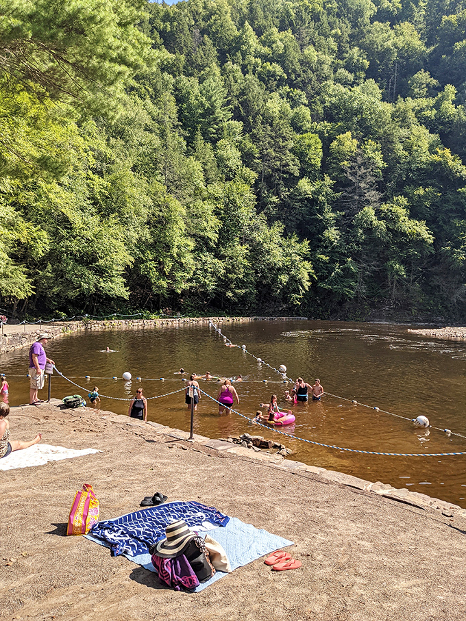 Summer's perfect equation: clear mountain water + sandy beach + laughing swimmers = memories that outlast sunburns.