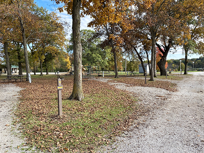 Fall camping at Lelah Bradley Park costs less than a night in most hotels, yet delivers richer experiences and more colorful memories.