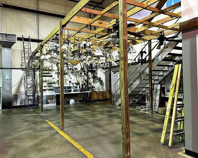 The chandelier forest—where lighting fixtures dangle like exotic fruit, each one promising to cast new light on old spaces.