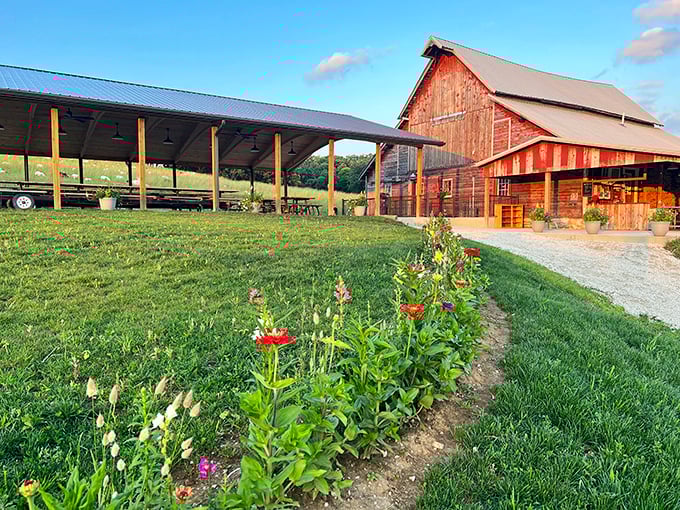 Luna Valley Farm represents the agricultural heritage that keeps food fresh, local, and actually affordable around here.