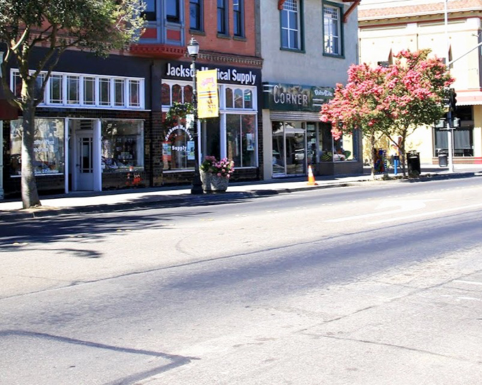 Main Street businesses housed in buildings with stories to tell, where flowering trees add splashes of color to the historic streetscape.