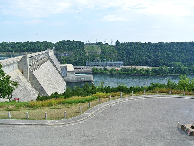 Bull Shoals Dam stands as a testament to human ingenuity and concrete&mdash;lots of concrete. This massive structure created a paradise for both fish and the people who chase them.
