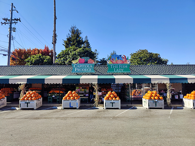 Capitola Produce Market's pumpkin display isn't just seasonal decor&mdash;it's an orange army standing at attention, ready for their pie-destiny.
