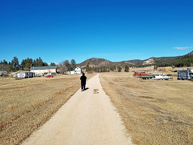 The path less traveled often leads to the best views. Custer's trails offer solitude and scenery in equal measure&mdash;just bring your four-legged hiking consultant.