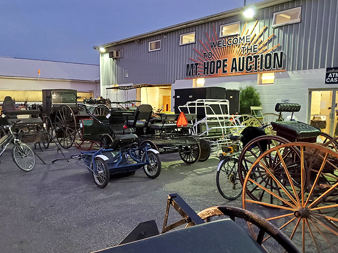 Twilight at the auction house. Where bargains are still sealed with handshakes and the most valuable currency is community trust.