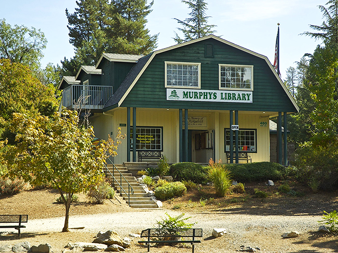 Murphys Library combines small-town charm with literary treasures – because adventures can happen between pages too.