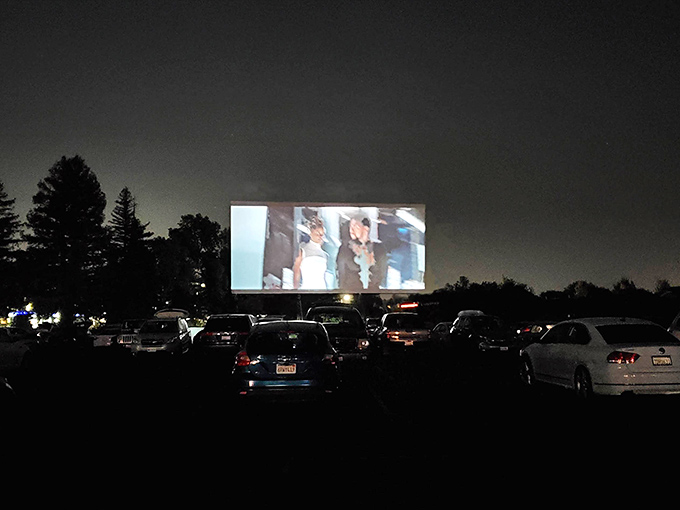 When darkness falls, the real show begins &ndash; headlights dim, radio dials tune in, and hundreds of vehicles become personal viewing pods under the night sky.