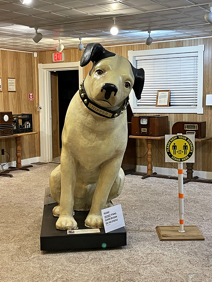 These early television receivers with their exposed components reveal the beautiful complexity of technology that we now take for granted in sleek, hidden packages.