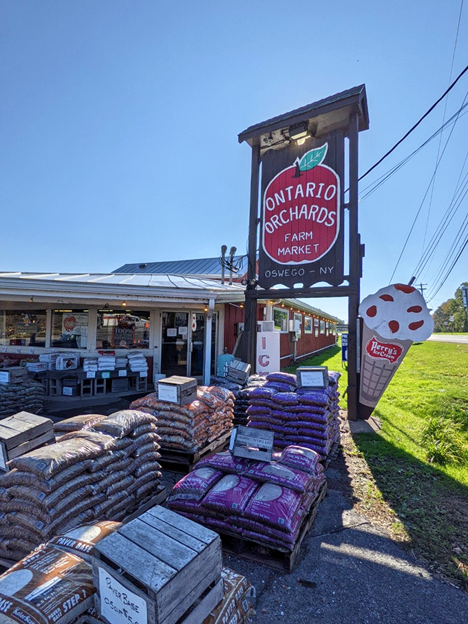 Ontario Orchards Farm Market displays its bounty proudly, offering seasonal treasures that make grocery shopping feel like a treasure hunt.