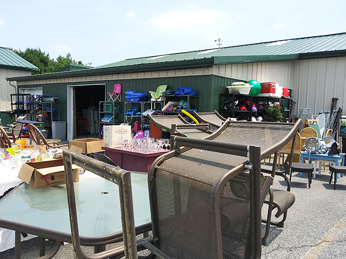 The outdoor overflow area proves that treasure hunting doesn't stop at the door&mdash;patio furniture and seasonal items bask in the Delaware sun.