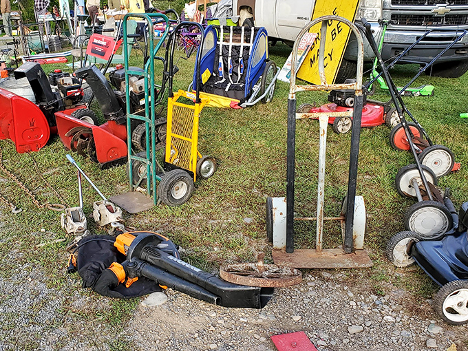 The lawn equipment graveyard&mdash;where one shopper's broken dreams become another's weekend project and conversation starter at neighborhood barbecues.