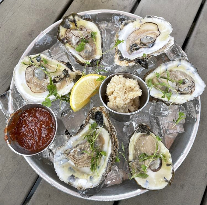 Oysters on ice&mdash;nature's perfect appetizer. These briny beauties are just waiting for a squeeze of lemon and a moment of appreciation.