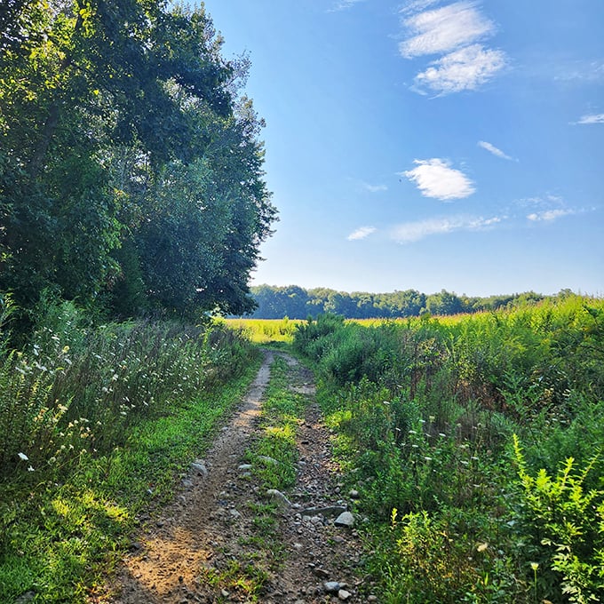 Nature trails wind through Plainfield like Mother Nature's own highway system, minus the tolls and traffic.