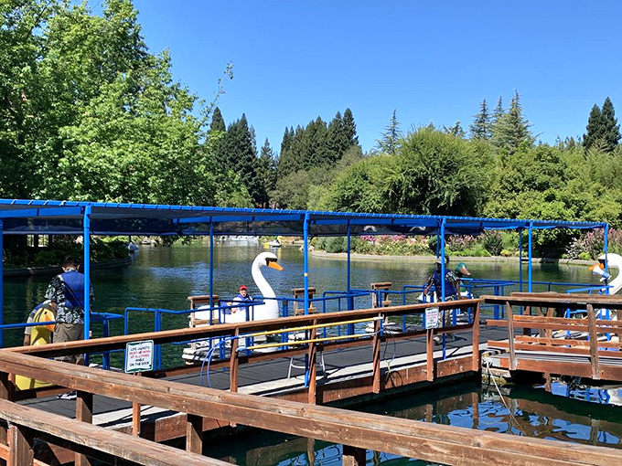 Swan boats glide across reflective waters, offering the rare chance to paddle at your own pace in a theme park world that usually rushes you along.