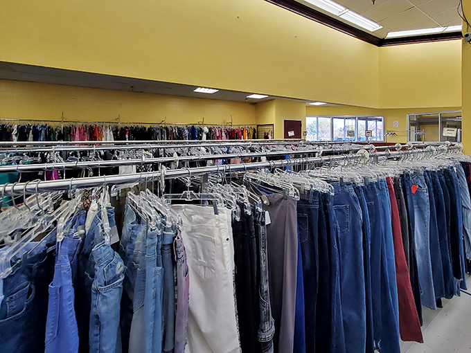 Denim for days! This jean library offers every wash, cut, and size imaginable&mdash;proof that America's favorite pants never truly go out of style.