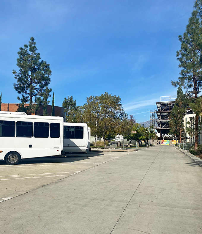 Behind the scenes, shuttle buses stand ready to transport weary shoppers laden with finds&mdash;the unsung heroes of the flea market experience.