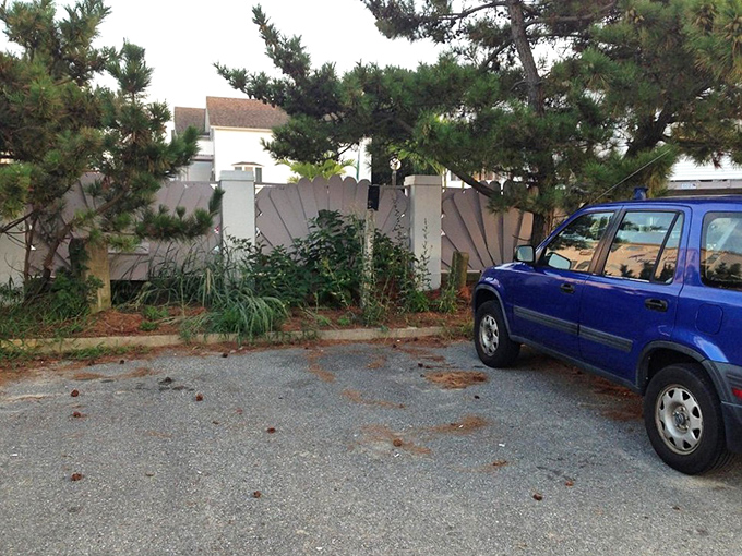 Even parking areas at Dewey Beach maintain that laid-back coastal charm, where every space promises adventure.