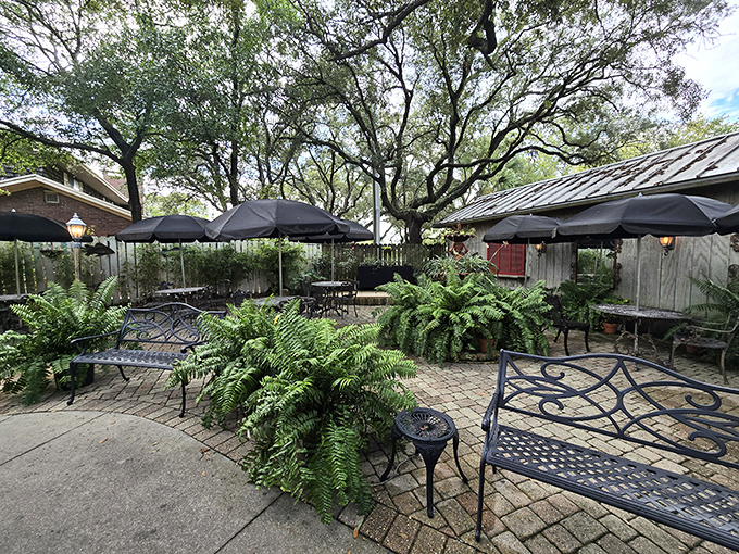 Lush ferns and dappled shade create a secret garden vibe on this patio. The perfect hideaway for when you need a break from all that sunshine.