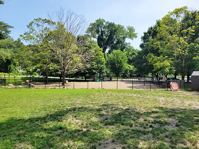 This community dog park proves Greenfield understands the important things in life&mdash;places where both humans and their four-legged therapists can socialize.
