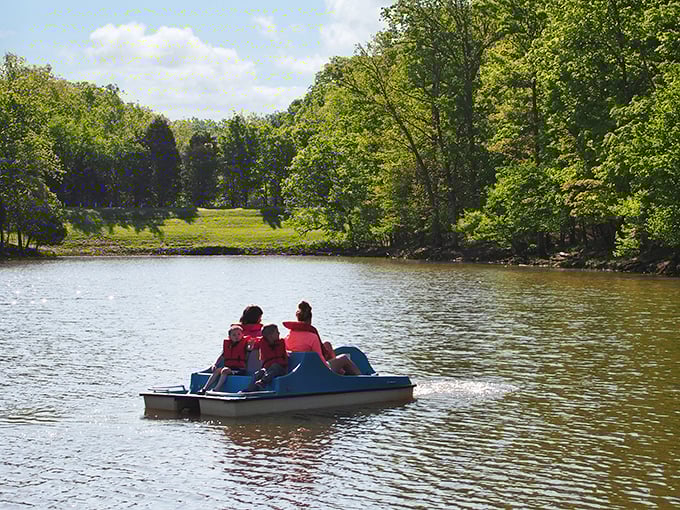 Pedal boating &ndash; the perfect family activity where everyone agrees to work together until someone inevitably stops paddling halfway across the lake.