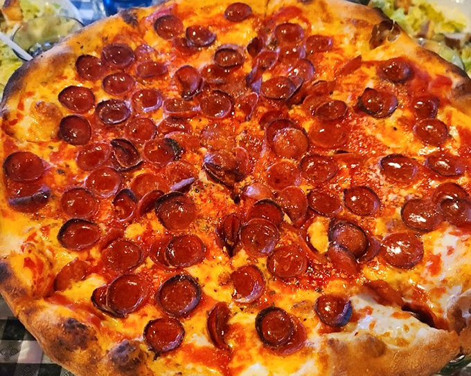 Pepperoni pizza that makes you understand why the food pyramid has a base. Each slice is a perfect circle of happiness.