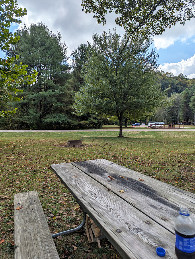 The humble picnic table: where family memories are made, ants are battled, and nobody minds that the sandwiches got slightly squished.