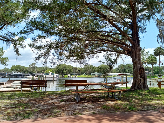Picnic tables under the watchful gaze of ancient oaks offer the perfect spot for lunch with a side of tranquility.