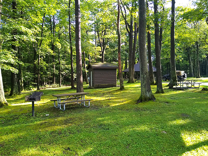 Picnic tables waiting patiently in dappled sunlight&mdash;the original outdoor dining experience before it was trendy.