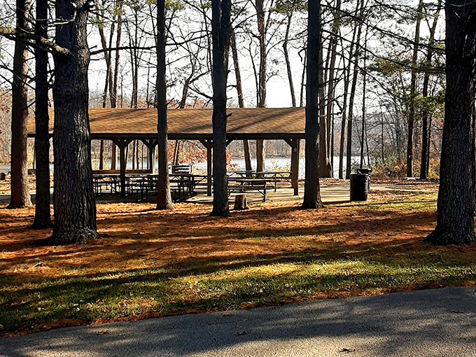 This picnic shelter has hosted more family reunions than Facebook, and unlike your news feed, the views never include political opinions.