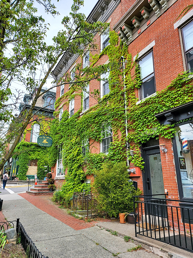 Ivy-covered brick buildings give Main Street that perfect blend of historic charm and "I want to live here" real estate envy.